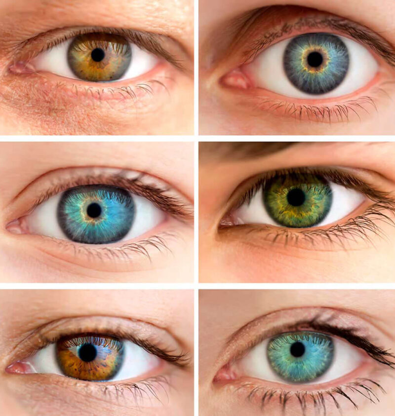 Home - Blue Green Medical